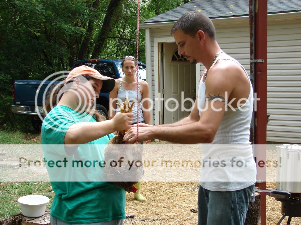 Chicken Butchering tools | BackYard Chickens - Learn How to Raise Chickens