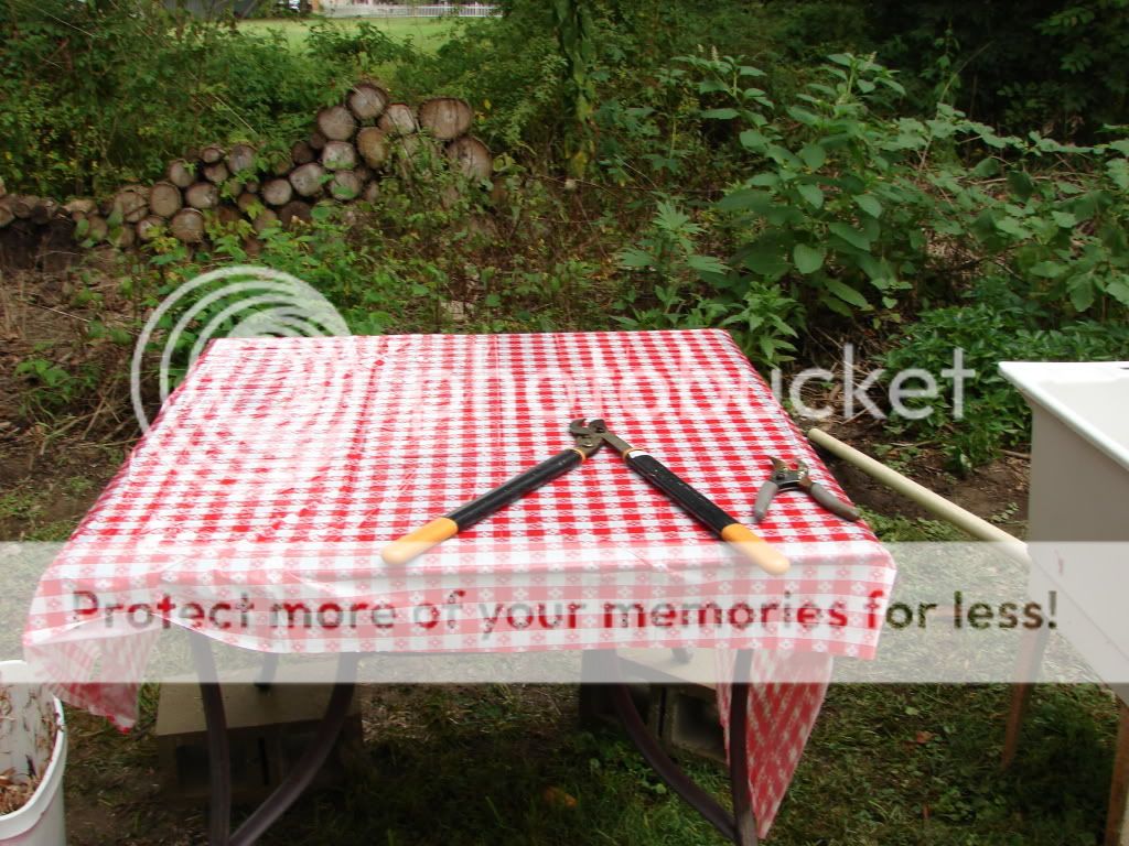 Chicken Butchering tools | BackYard Chickens - Learn How to Raise Chickens