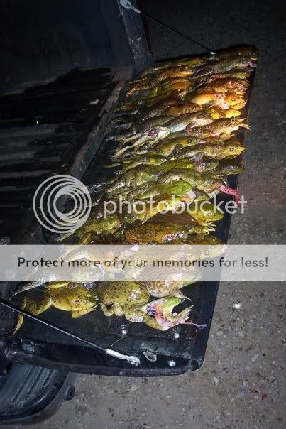 Ben Lee Photoimagery | Frog Hunting | Liz Strauss